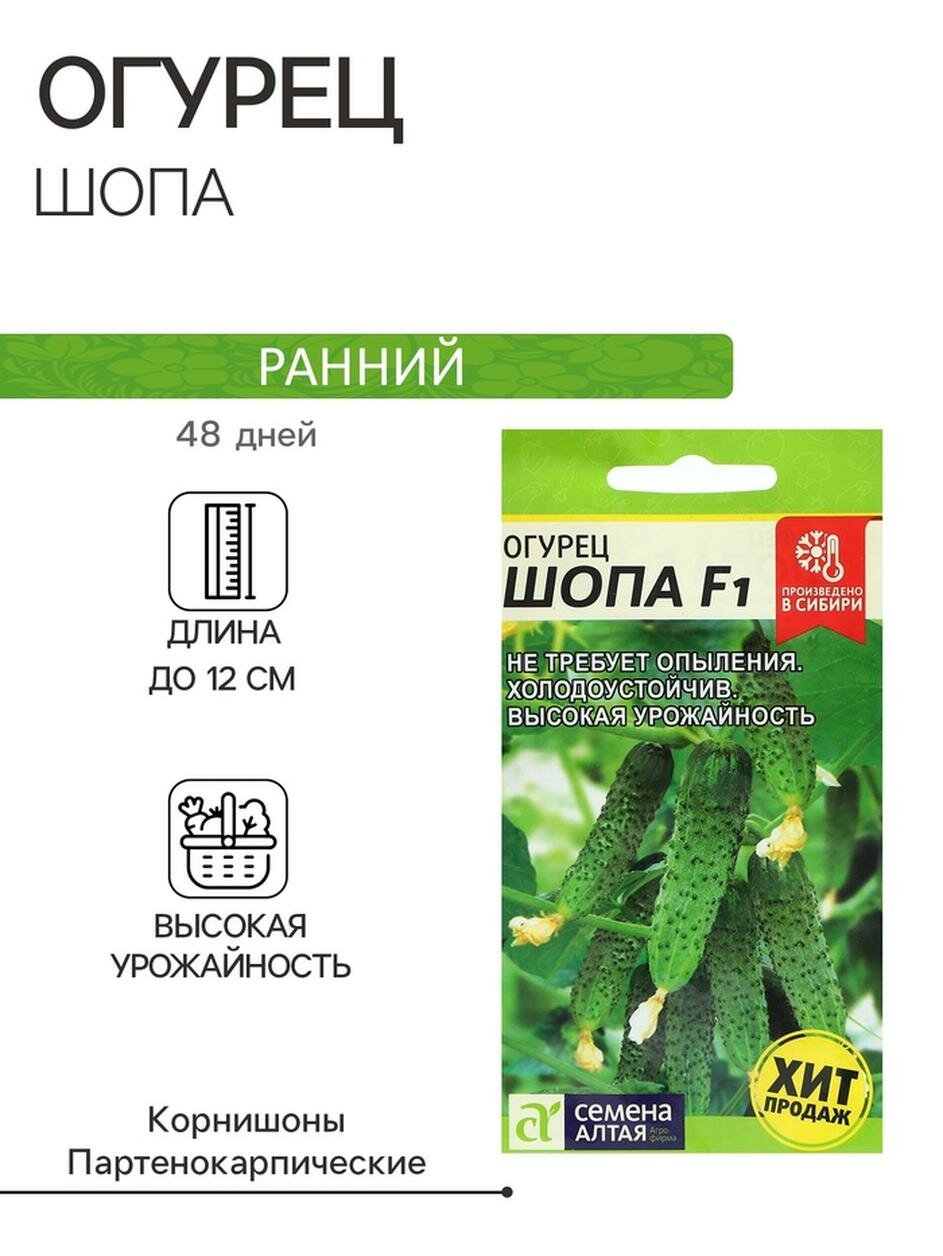 Семена Огурец Шопа, F1, Семена Алтая, цветная пачка, 5 шт в упаковке