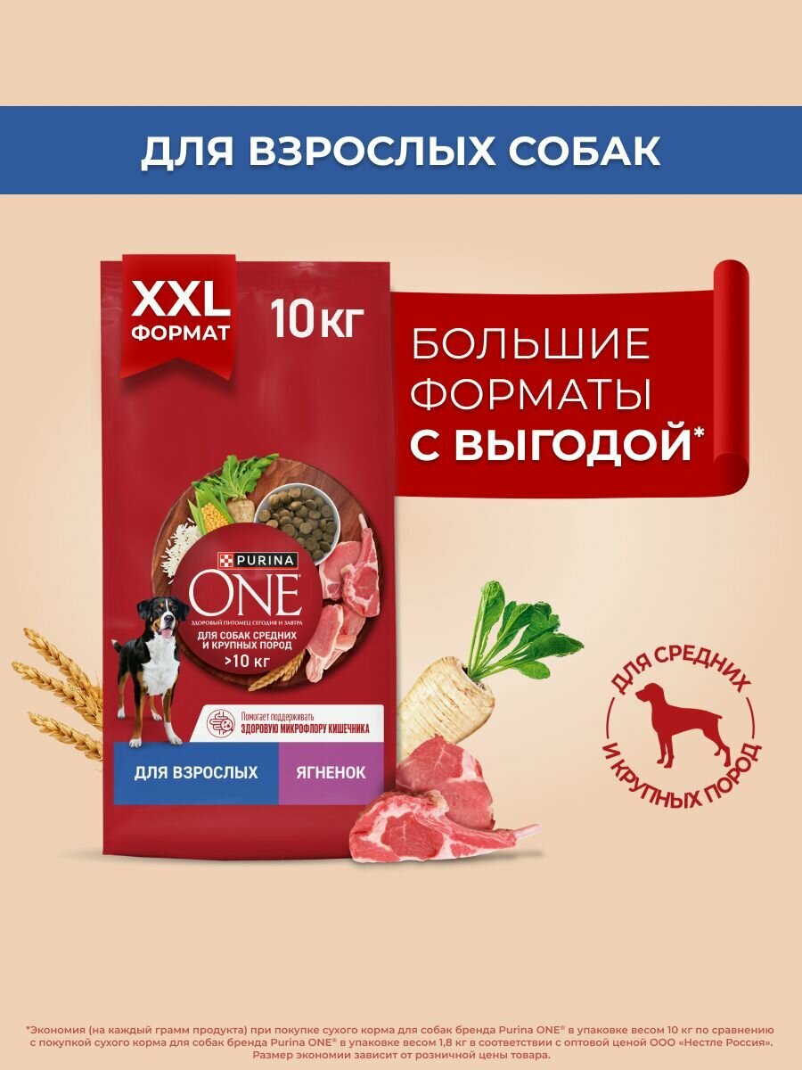 Сухой корм для собак Purina ONE для взрослых собак средних и крупных пород, с ягненком и рисом, 10 кг