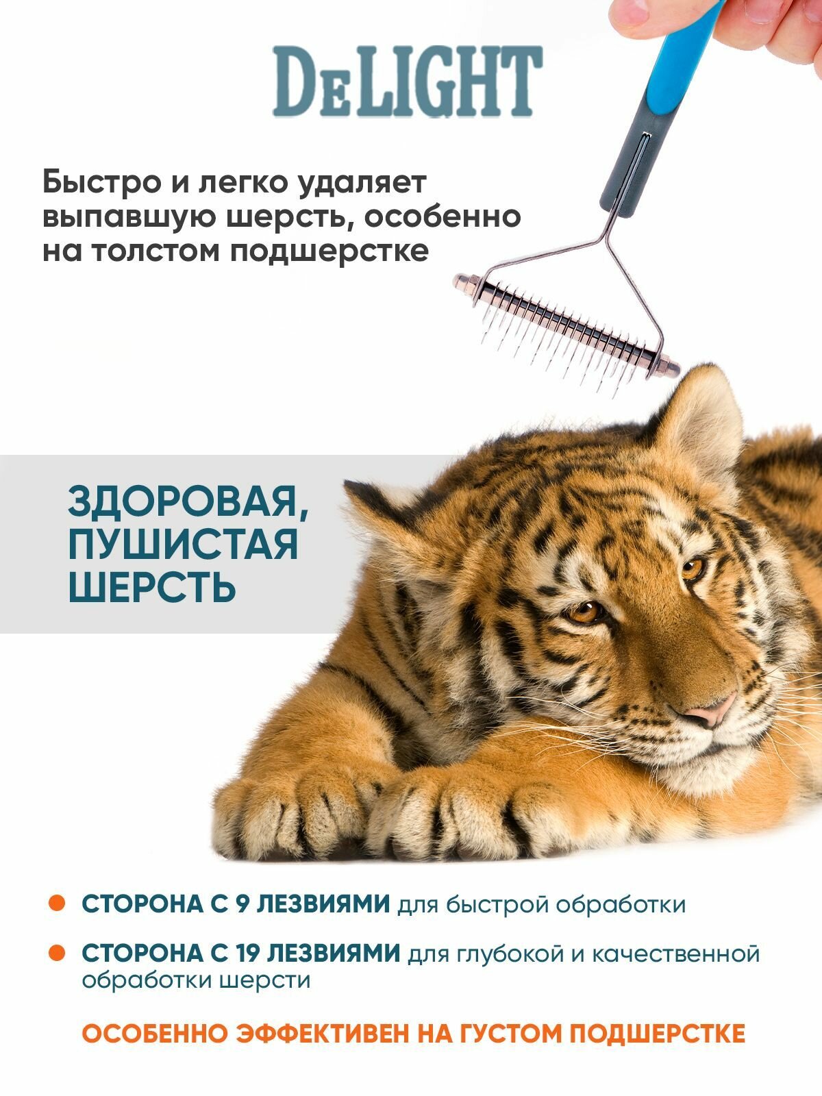 Стриппинг — фото 1