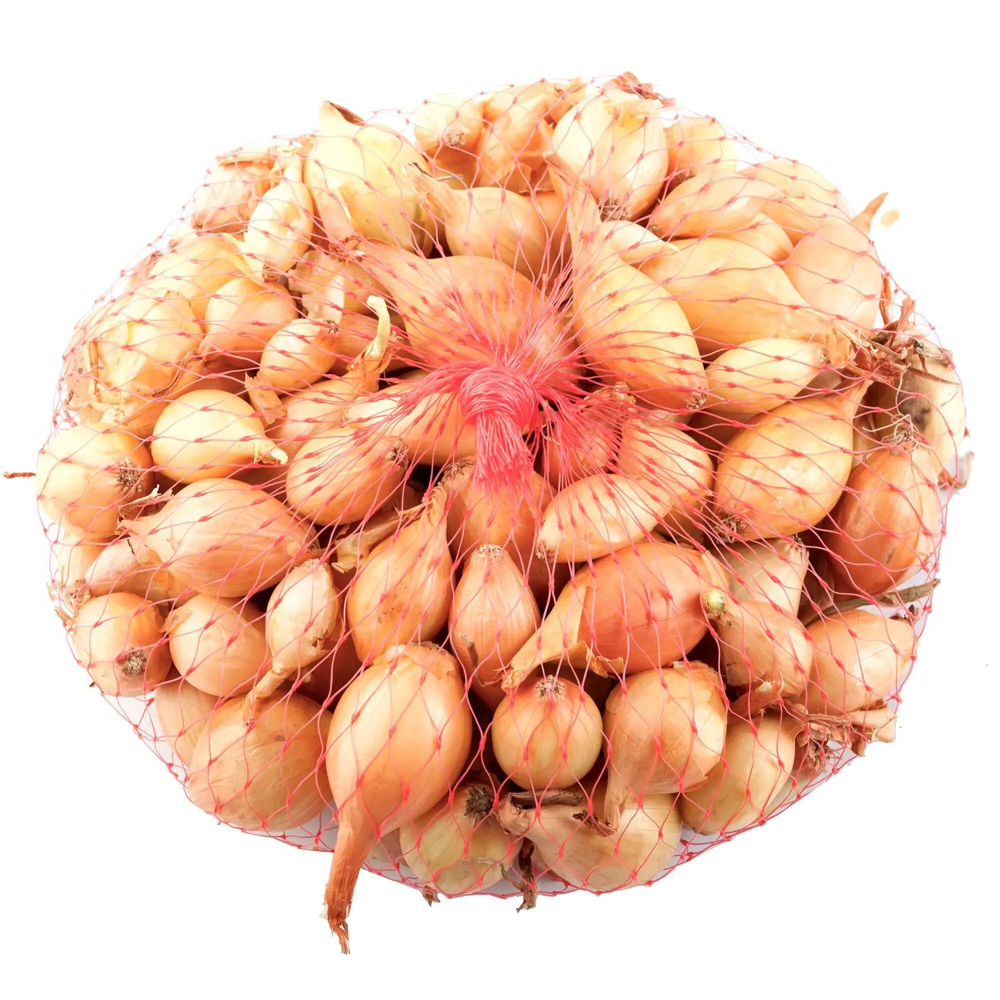 Лук‑севок Setton 0.5 кг