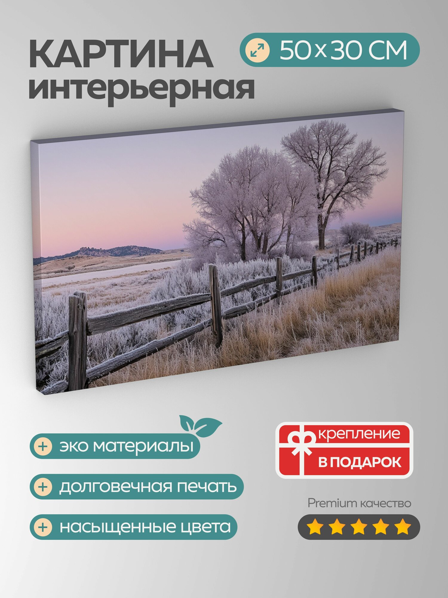 Картина на холсте интерьерная 50х30 см, Морозное утро, сельская местность, деревянный забор, голые деревья, иней, f
