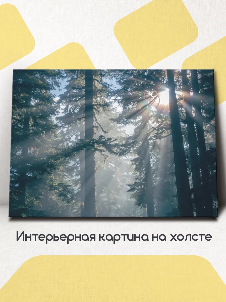 Картина на стену интерьерная Лучи солнца лес 40x30 см