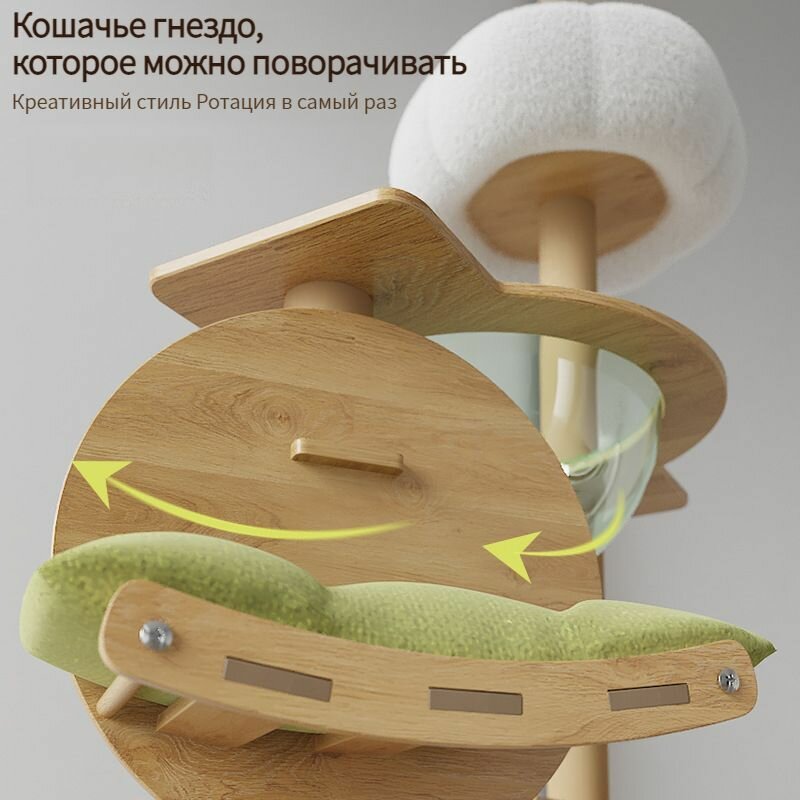 Когтеточка — фото 1