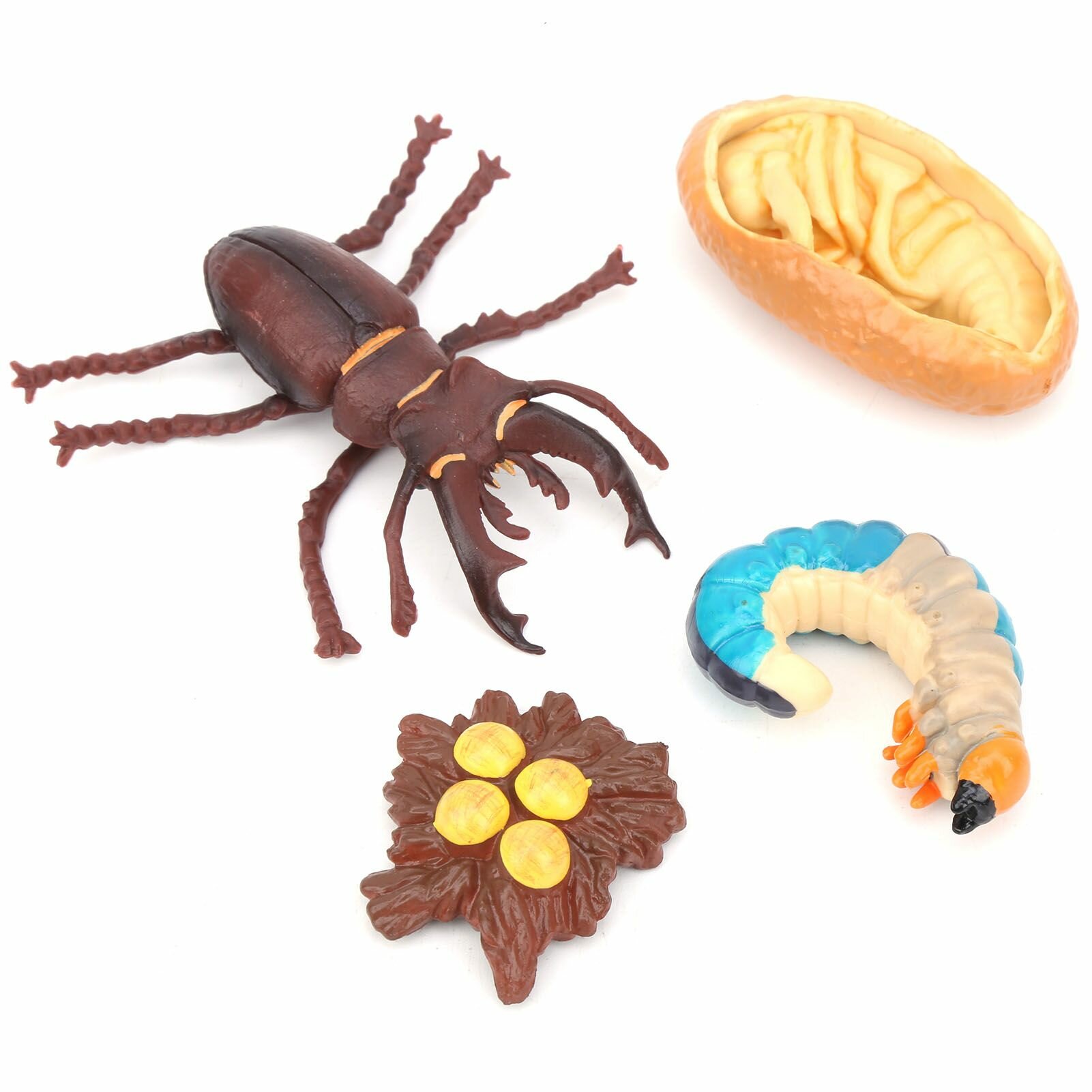 Модель цикла роста животных для детей, обучающая игрушка, пластиковая, 100% новая