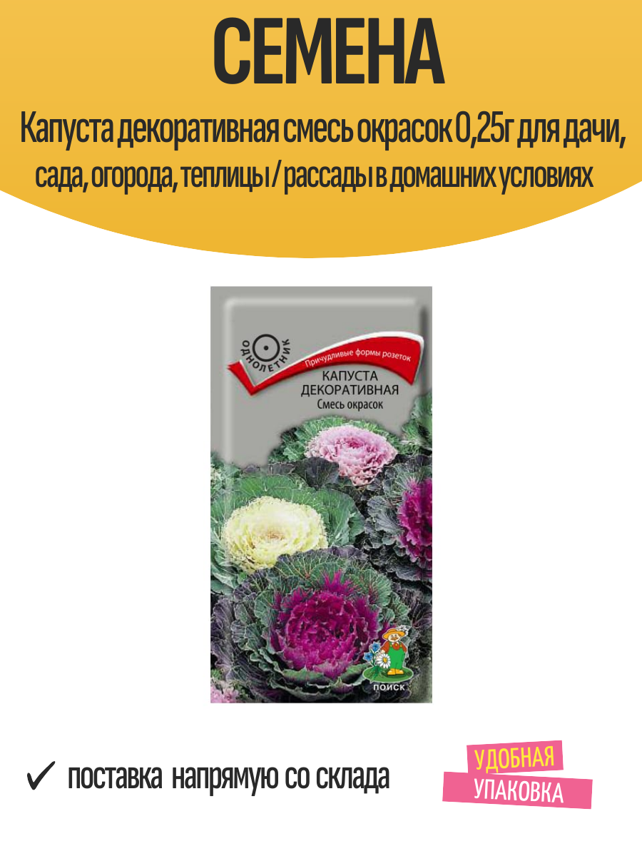 Семена Капуста декоративная смесь окрасок 0,25г для дачи, сада, огорода, теплицы / рассады в домашних условиях