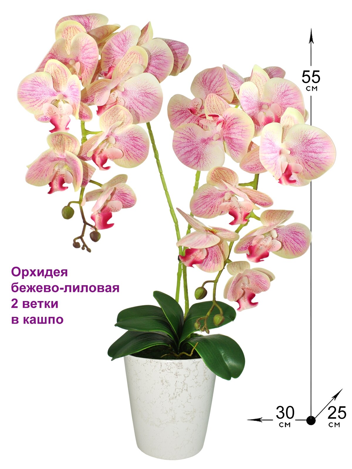 Композиция из цветов Орхидея бежево-лиловая 2 ветки 55 см в кашпо от ФитоПарк