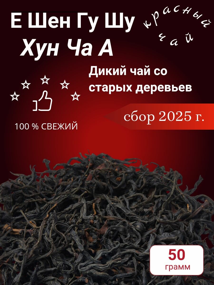 Е Шен Гу Шу Хун Ча А. Юннань. Весна 2025 г.