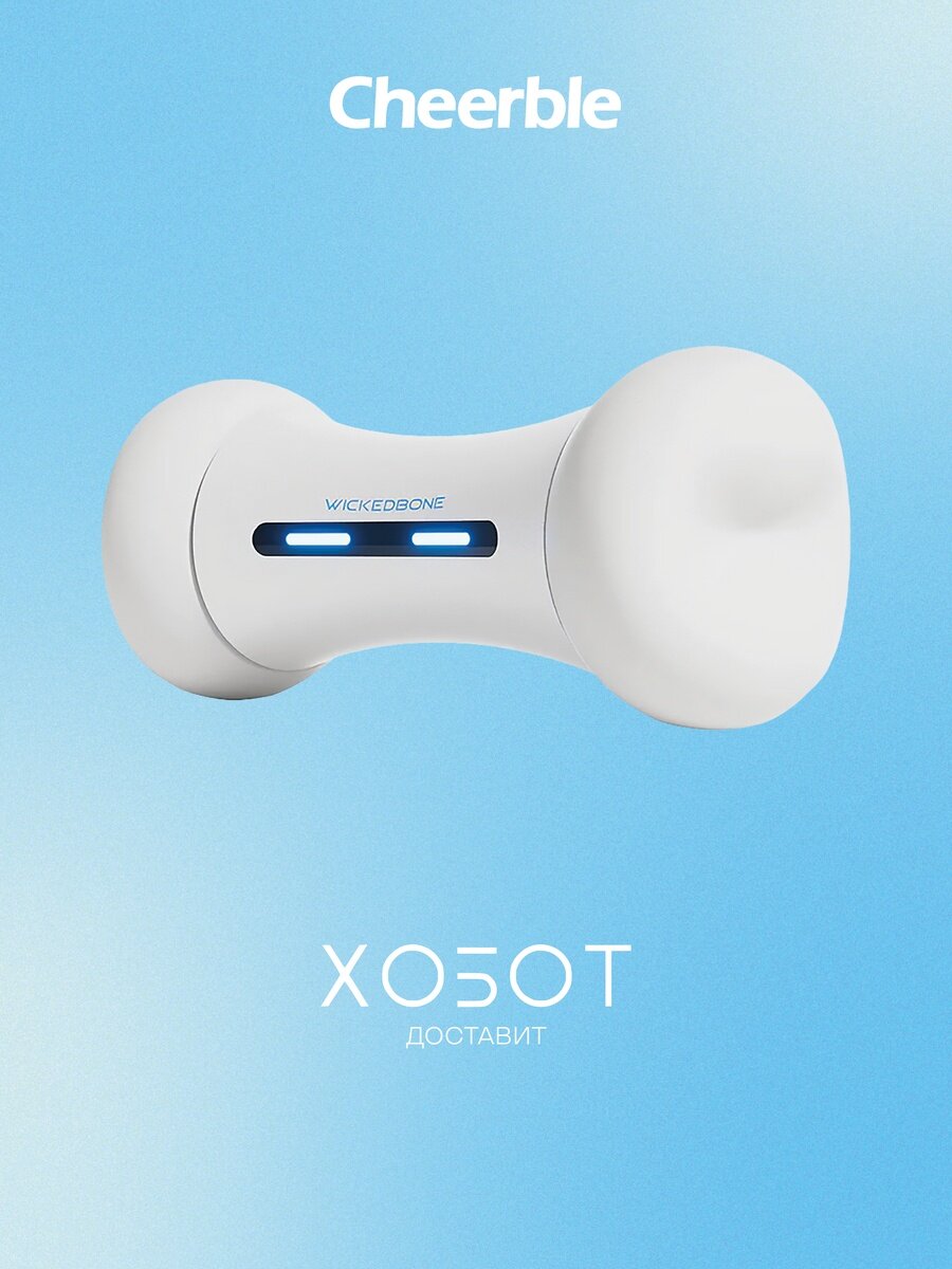 Интерактивная игрушка Cheerble Wickedbone