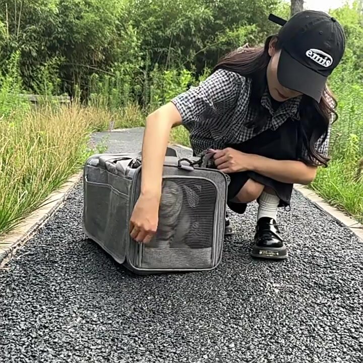 Переноска для кошек и собак, сумка для разных пород животных