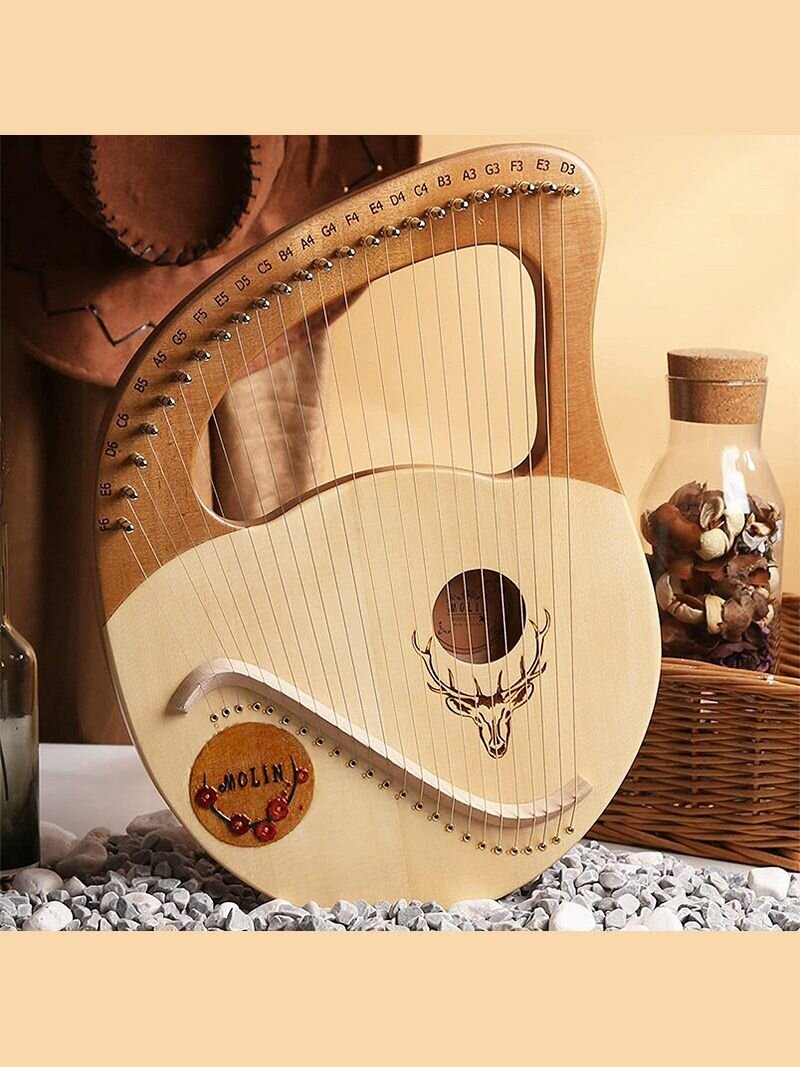 Цимбалы Детские-FN