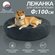 Лежак для животныхxb