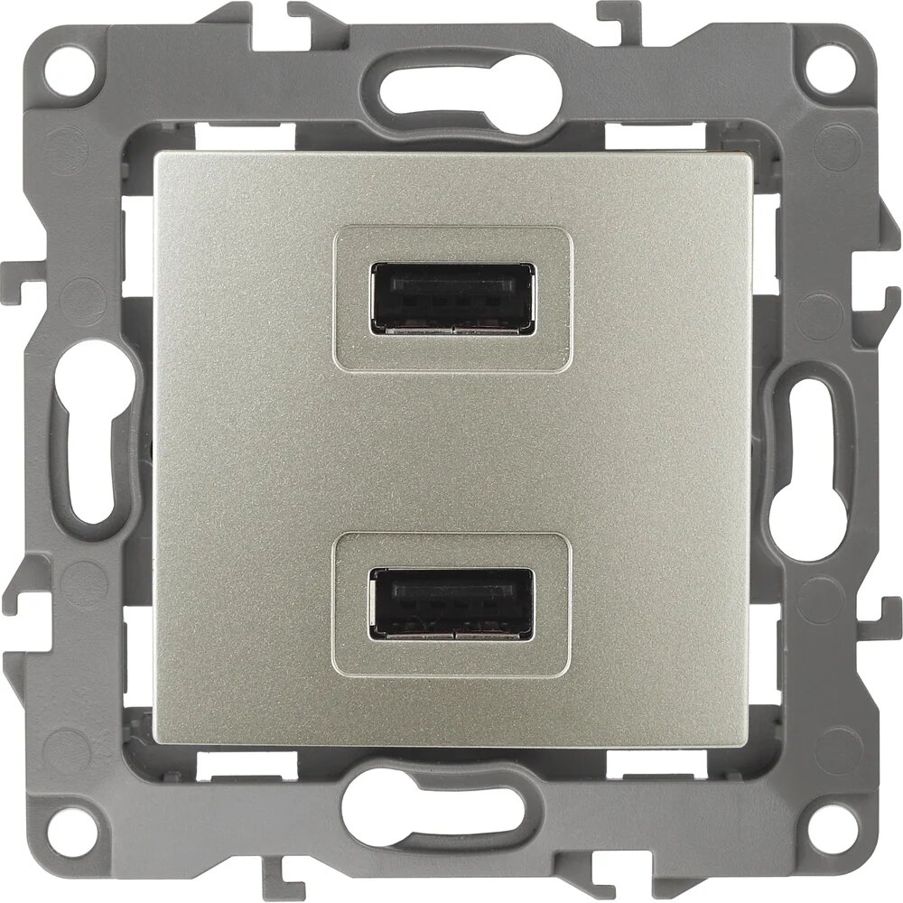 ЭРА 12-4110-04 Устройство зарядное USB, 230В/5В-2100мА, IP20, шампань Б0027494