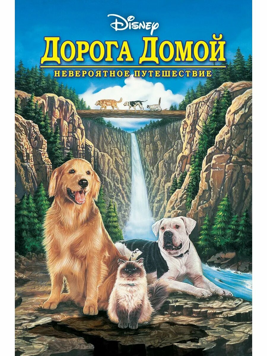 Дорога домой: Невероятное путешествие (1993) (Флешка)