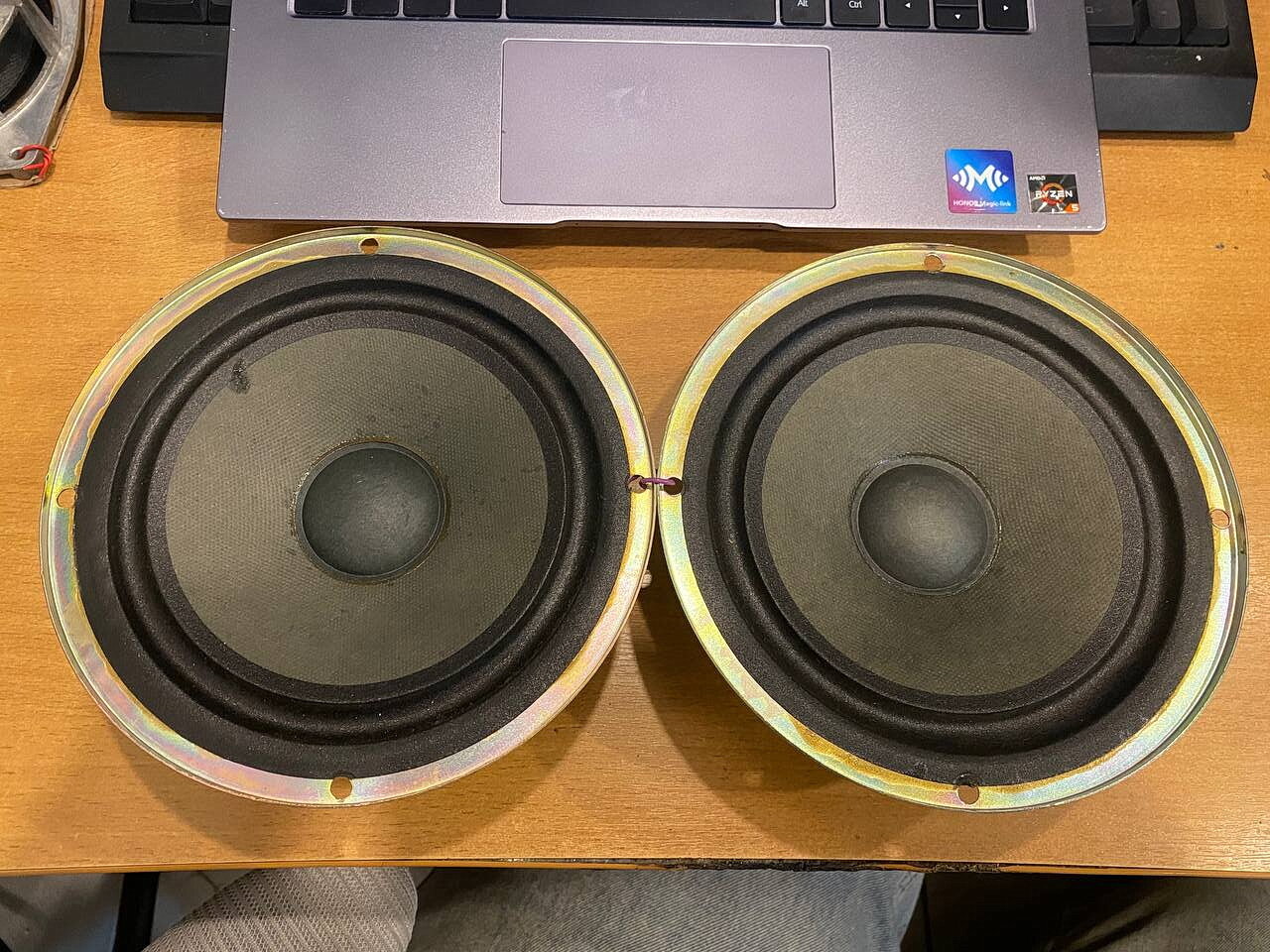 Динамики Sony T-8110-420-1 (пара)