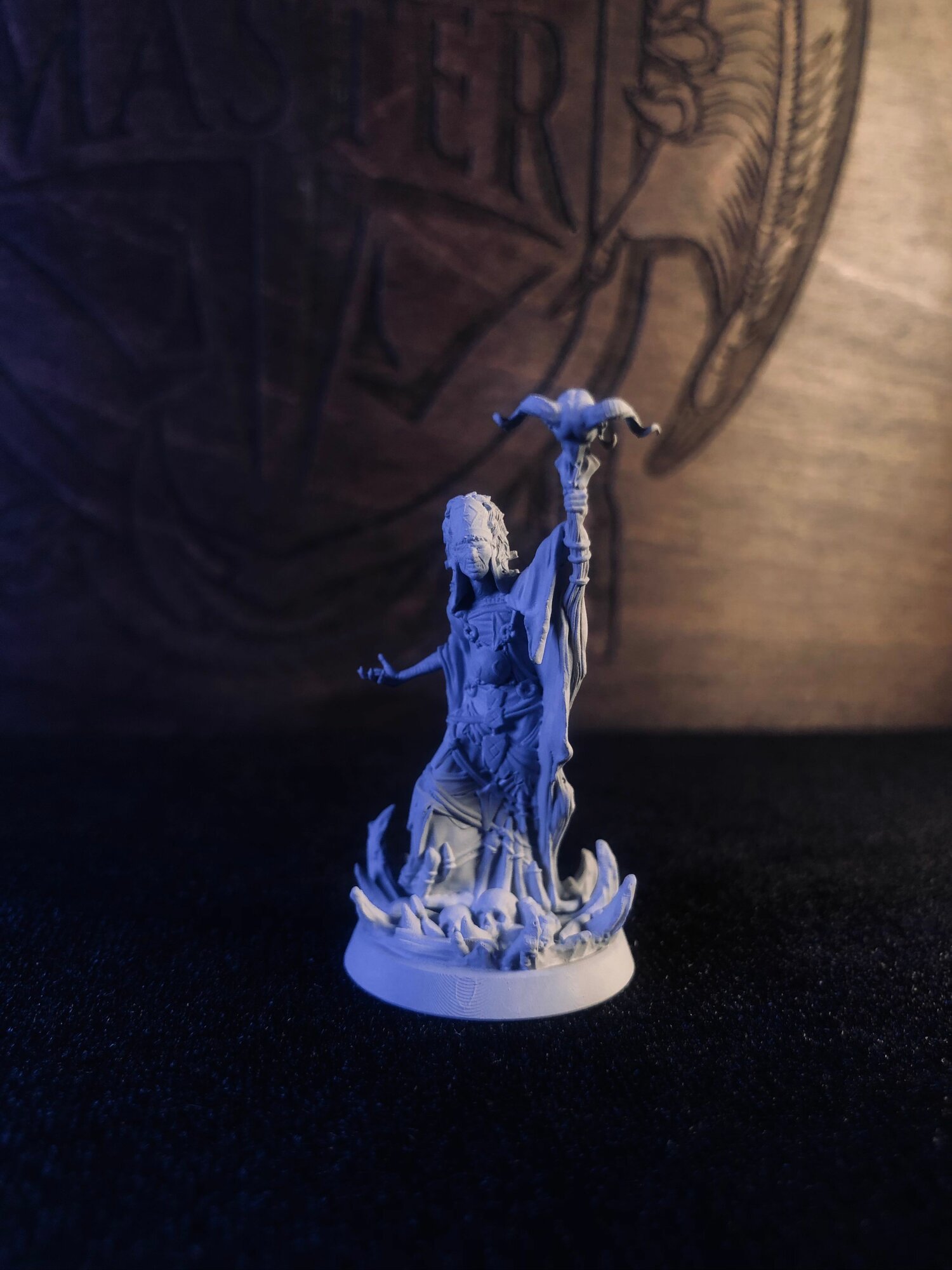 Воин Севера, Вёльва, викинги - Миниатюра для настольных игр DnD, ДнД, Dungeons & Dragons, Pathfinder.