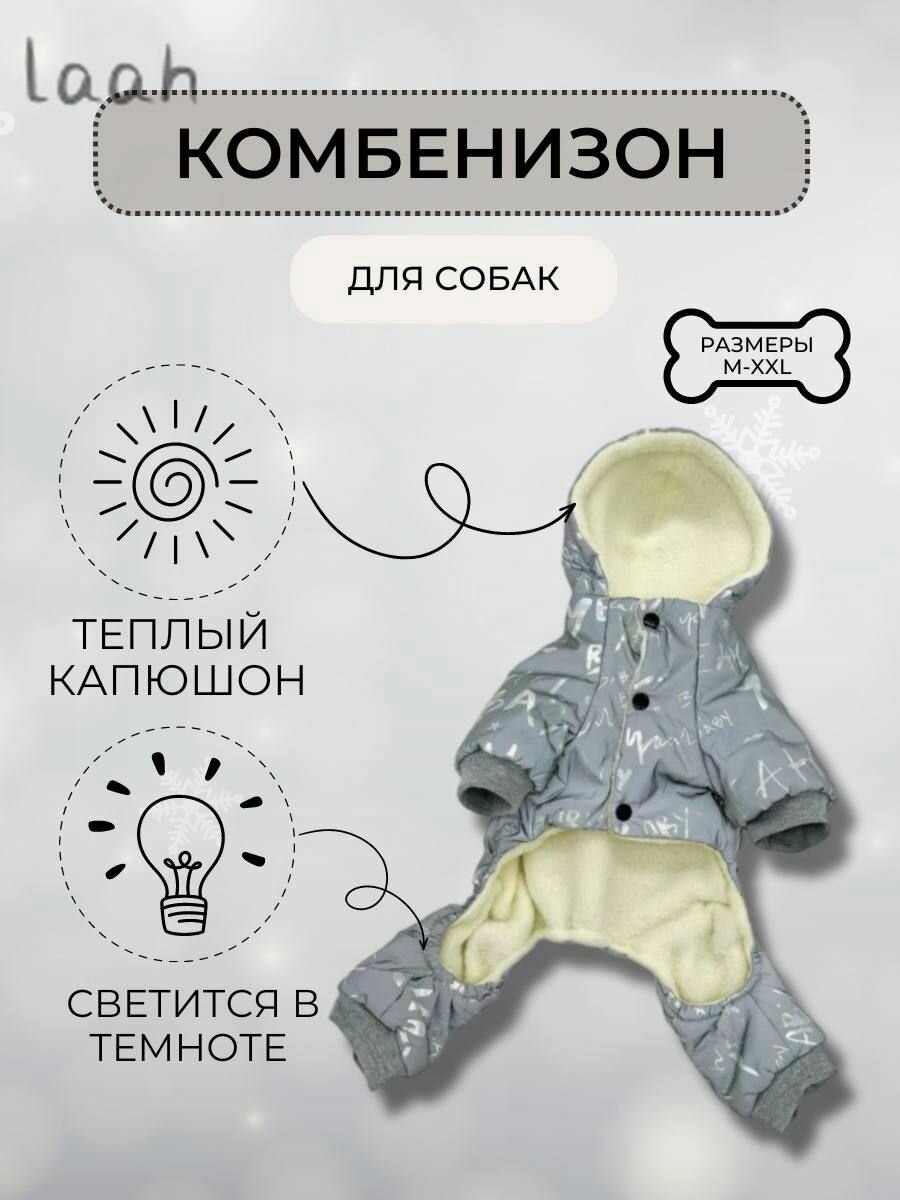 Одежда для животных — фото 1