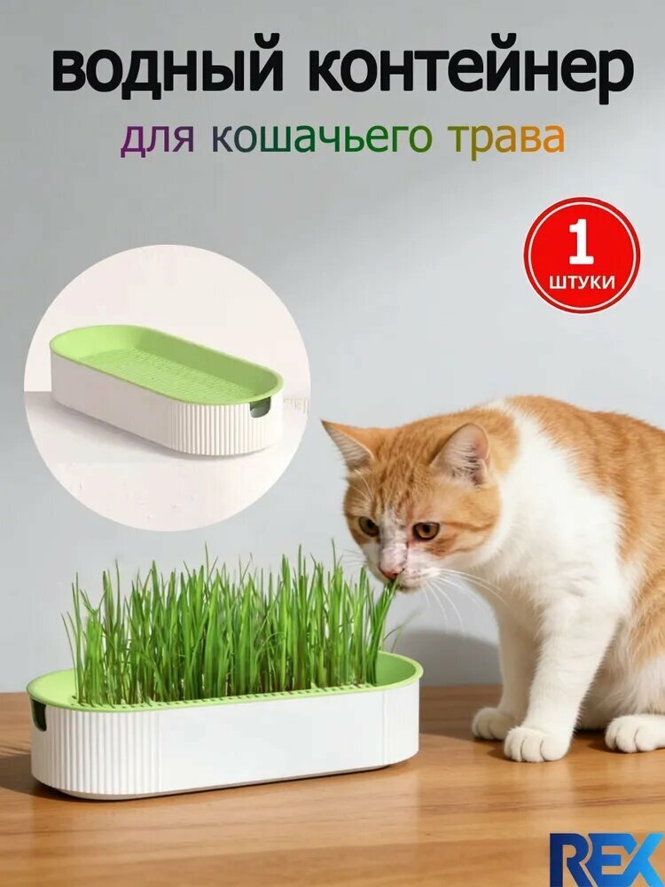 Эксклюзивная миска питомца