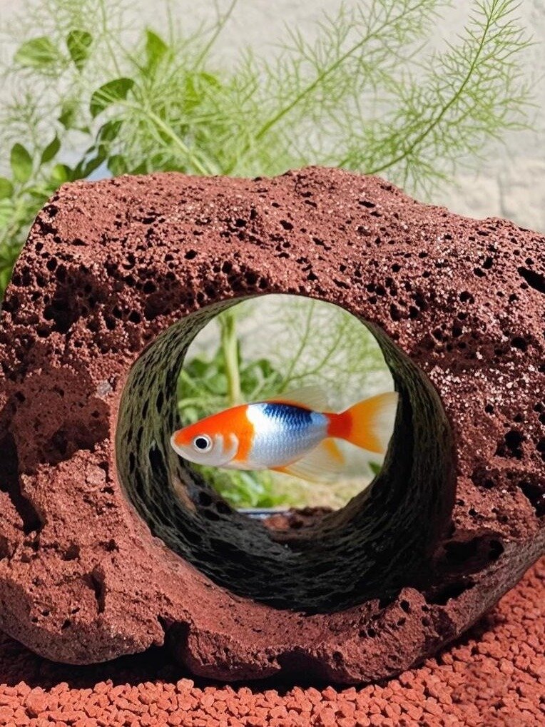 Вулканическая каменная домик для рыб с отверстием 10 см в аквариуме, укрытие для черепах и креветок - 1 шт