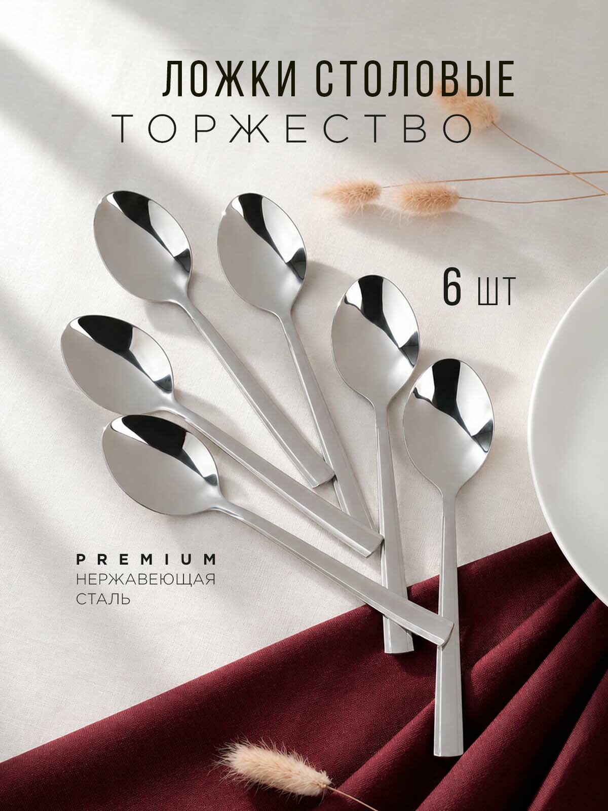 Набор 6-ти предметный ложек столовых "Торжество" (М18) в картонной коробке