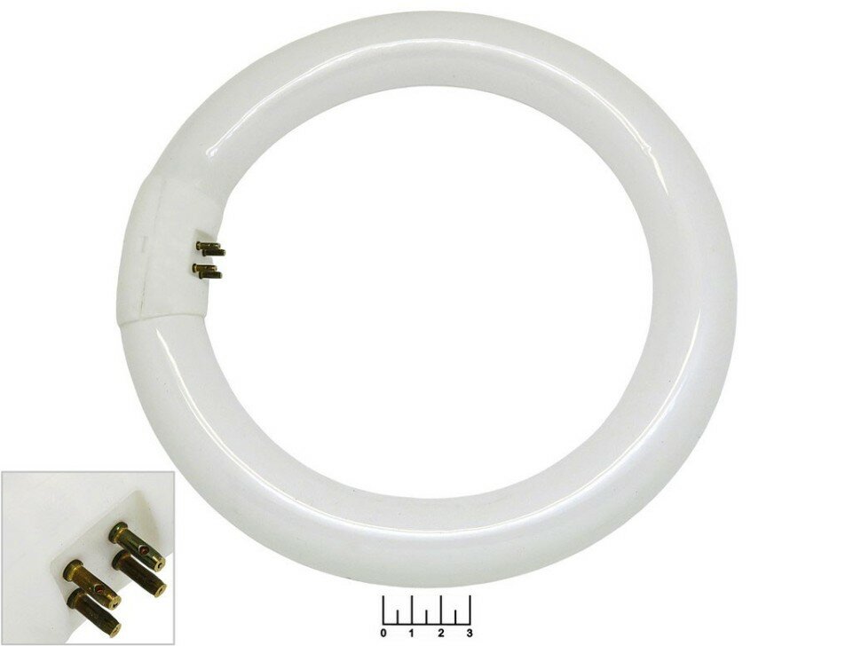 Лампа люминесцентная T9 22W G10Q (FLU2) 4000K белый Philips