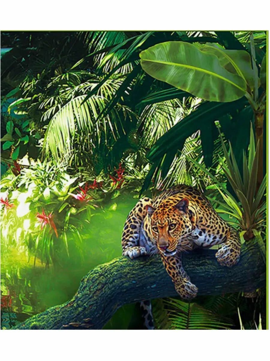 Фотообои глянцевые Джунгли 196*201