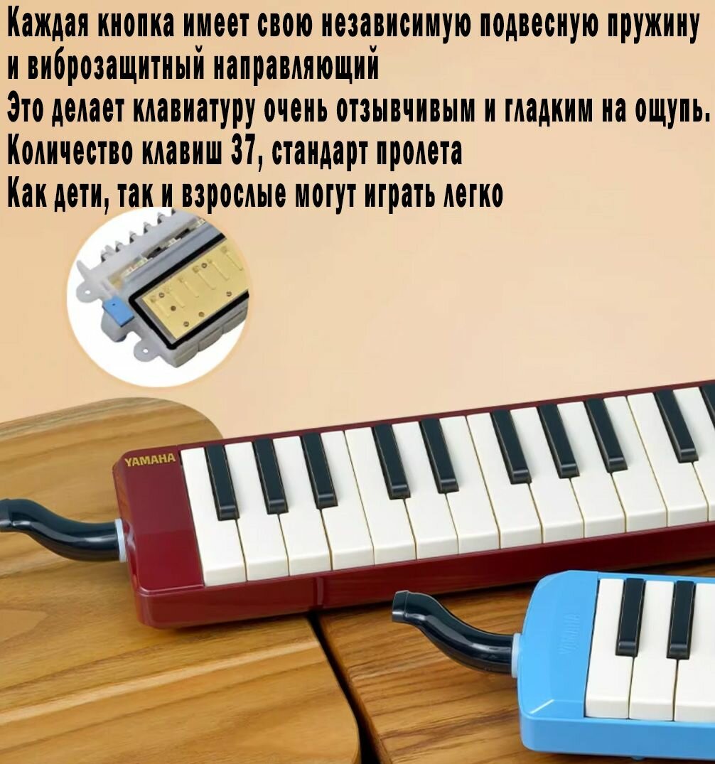 Мелодика — фото 1