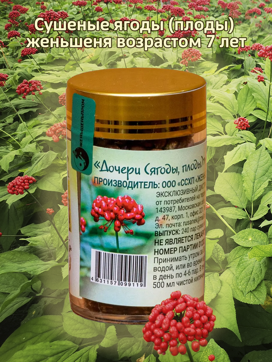 Сушеные ягоды, плоды российского органического женьшеня 7 лет "Дочери женьшеня", 30 г