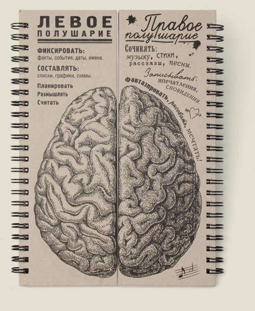 Блокнот Мозги Обыкновенные