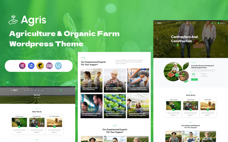 Подарочный сертификат на Шаблон для сайта Вордпресс с демоконтентом Agris - Agriculture And Organic Food Wordpress Theme WordPress Theme
