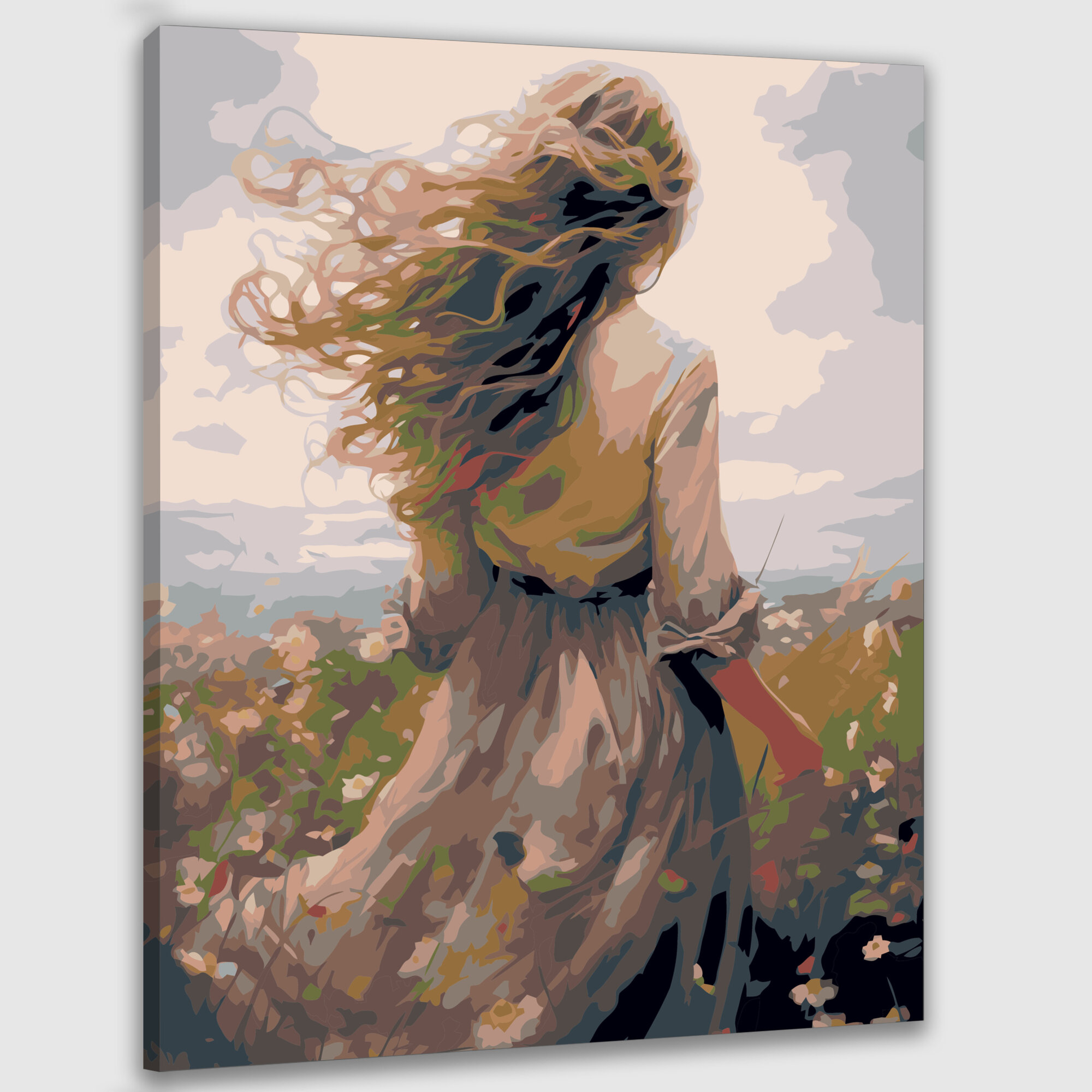 Картина по номерам 40x50 см, фотография, девушка, холм, волосы, платье, ветерок, поле, полевые цветы, цвет, движение