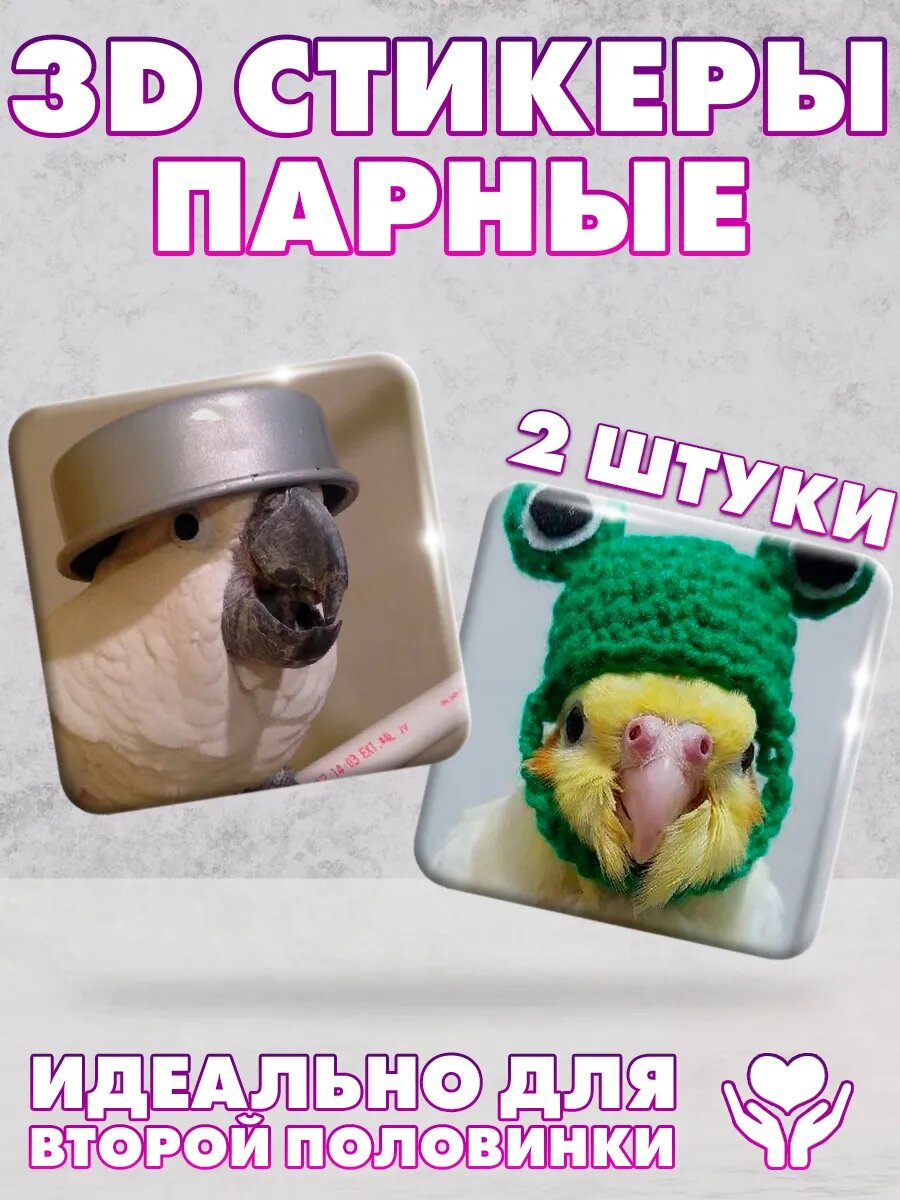 3D стикеры, парные наклейки на телефон Попугай