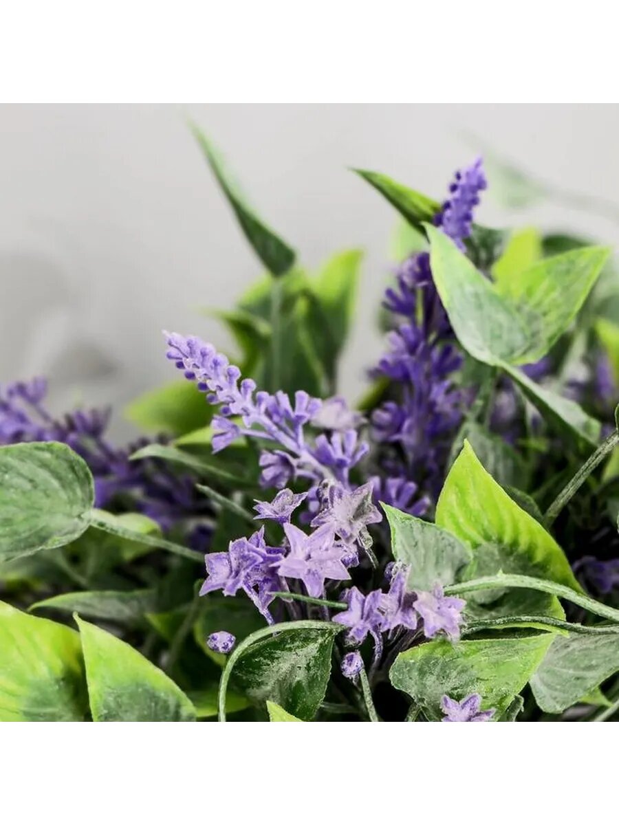 Красивый миниатюрный бонсай с цветущими лианами