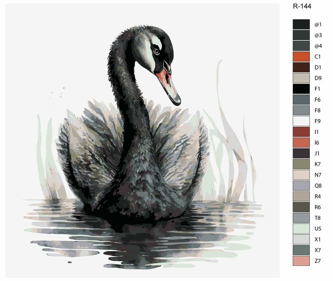 Картина по номерам R-144 "Черный лебедь" 40x40 см