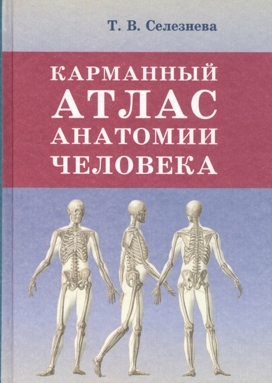 Карманный атлас анатомии человека