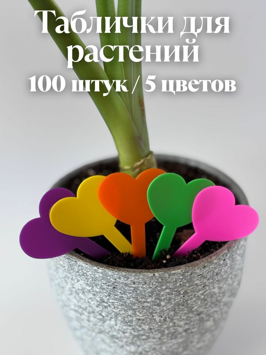 Таблички для рассады