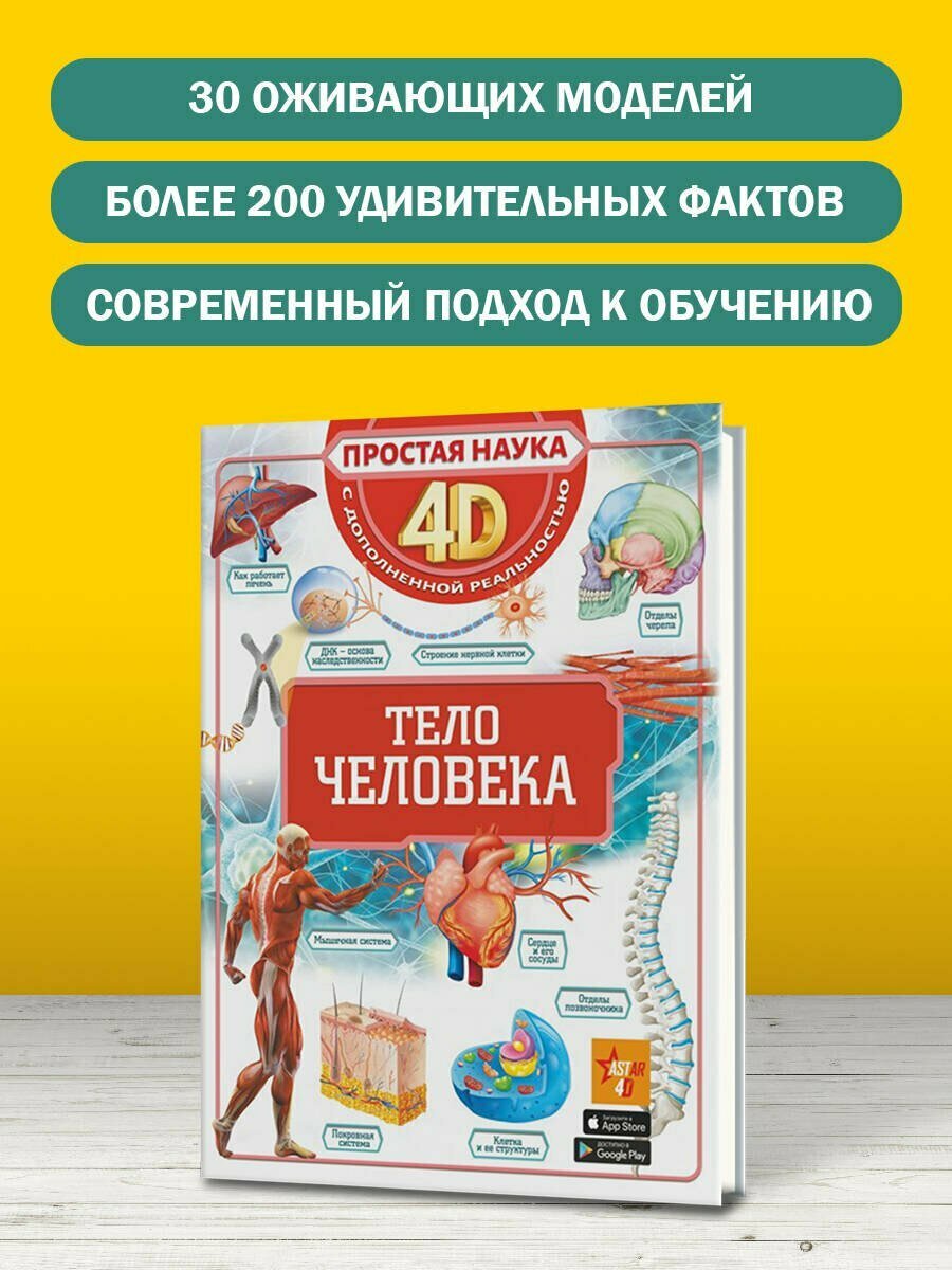 Тело человека — фото 1