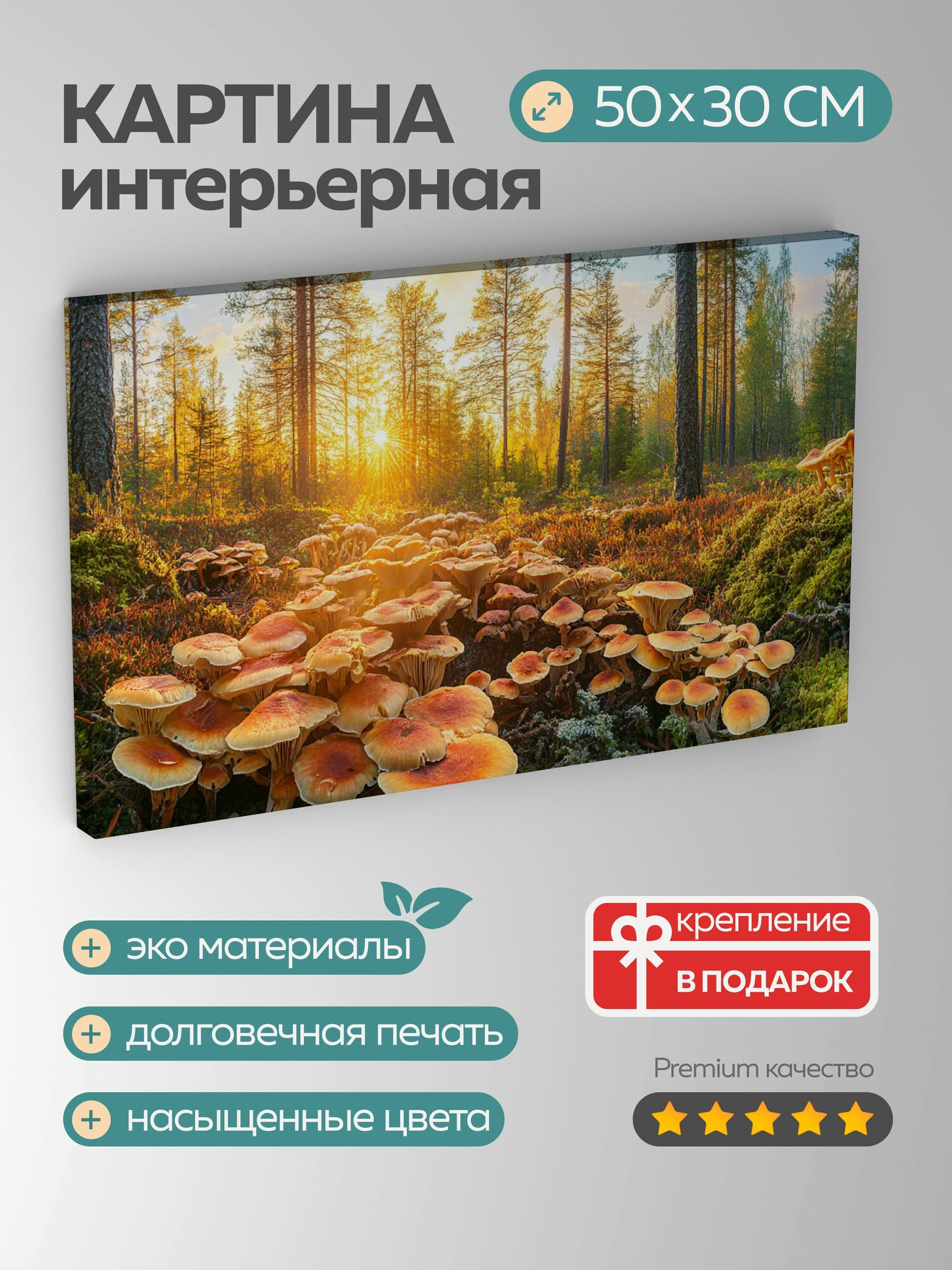 Картина на холсте интерьерная 50х30 см, грибы, лес, тайга, формы, текстуры, цвета, сосны, мох, закат, свет, сияние