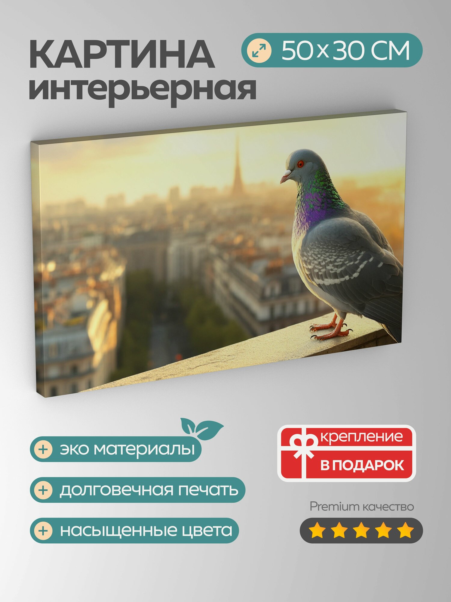 Картина на холсте интерьерная 50х30 см, голубь, балкон, солнце, городской пейзаж, оперение, взгляд, сосуществование