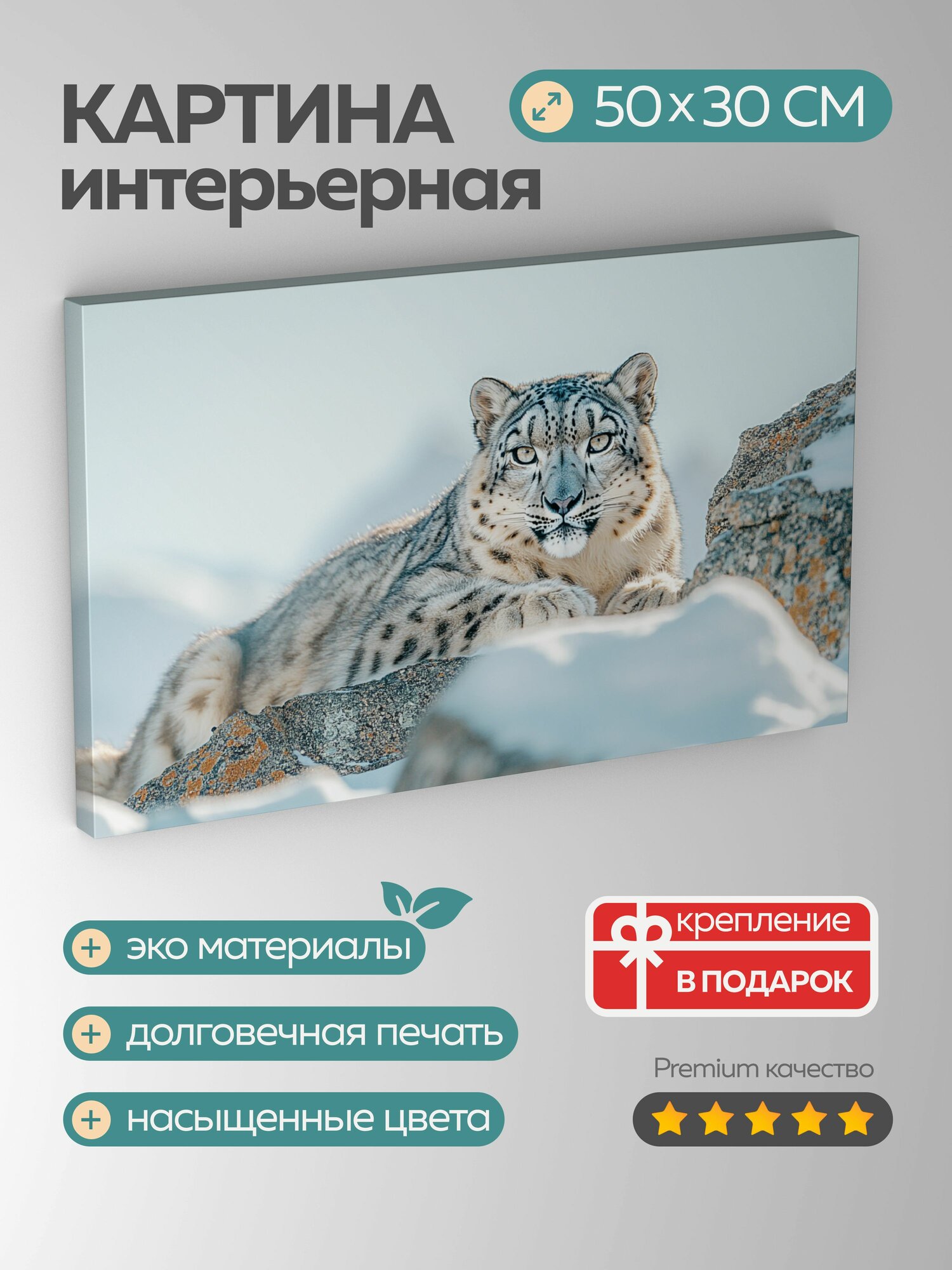 Картина на холсте интерьерная 50х30 см, снежный барс, заснеженные скалы, пристальный взгляд, неуловимый хищник, f