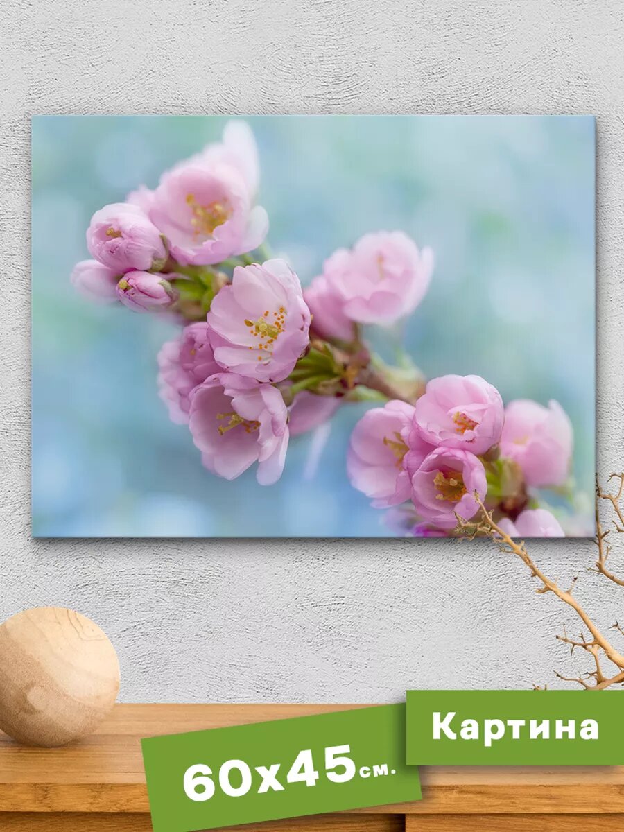 Картина на стену на холсте Миндаль трехлопастный цветы
