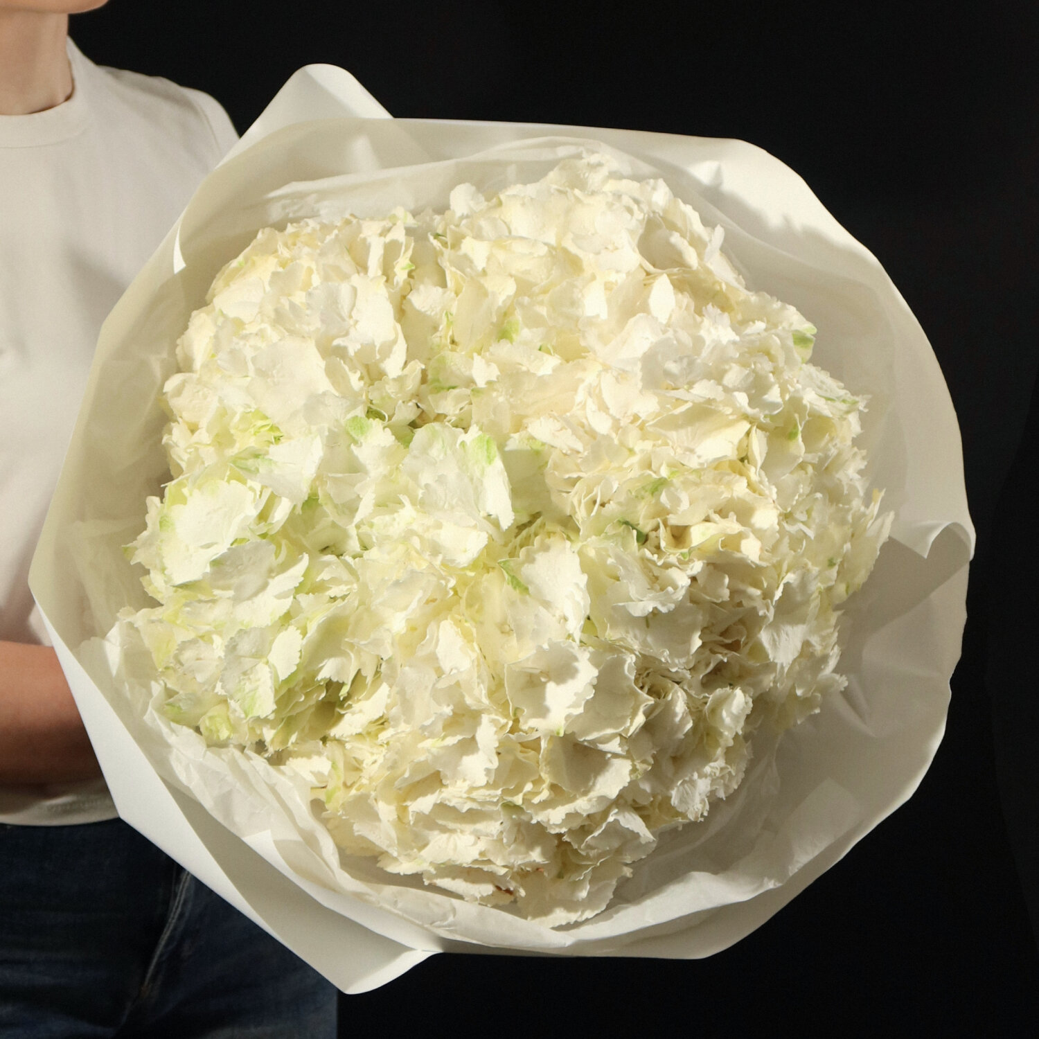 Букет из белой гортензии, моно букет из 5 белых гортензий, белый букет