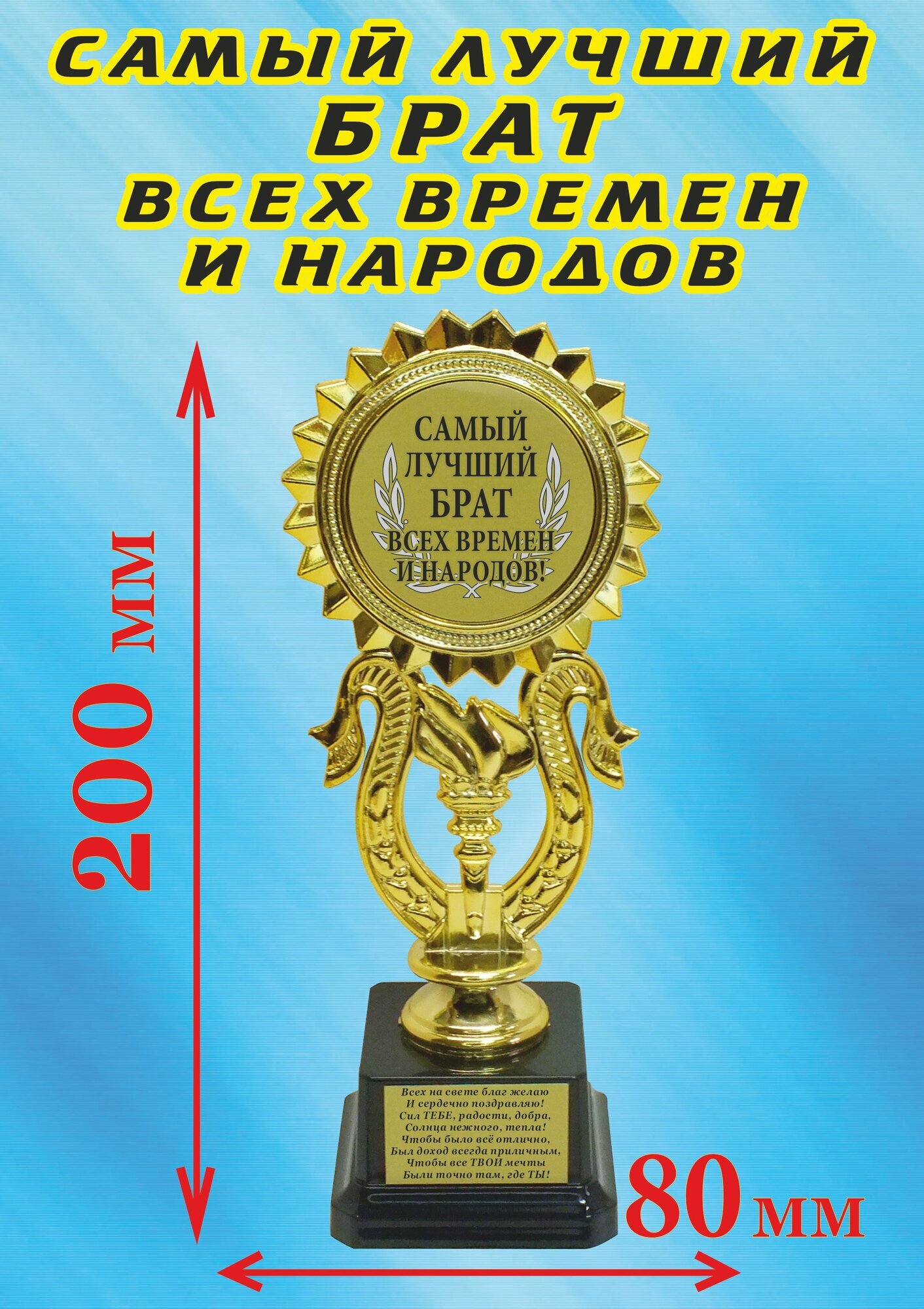 Кубок подарочный Факел " Самый лучший брат всех времён и народов ".