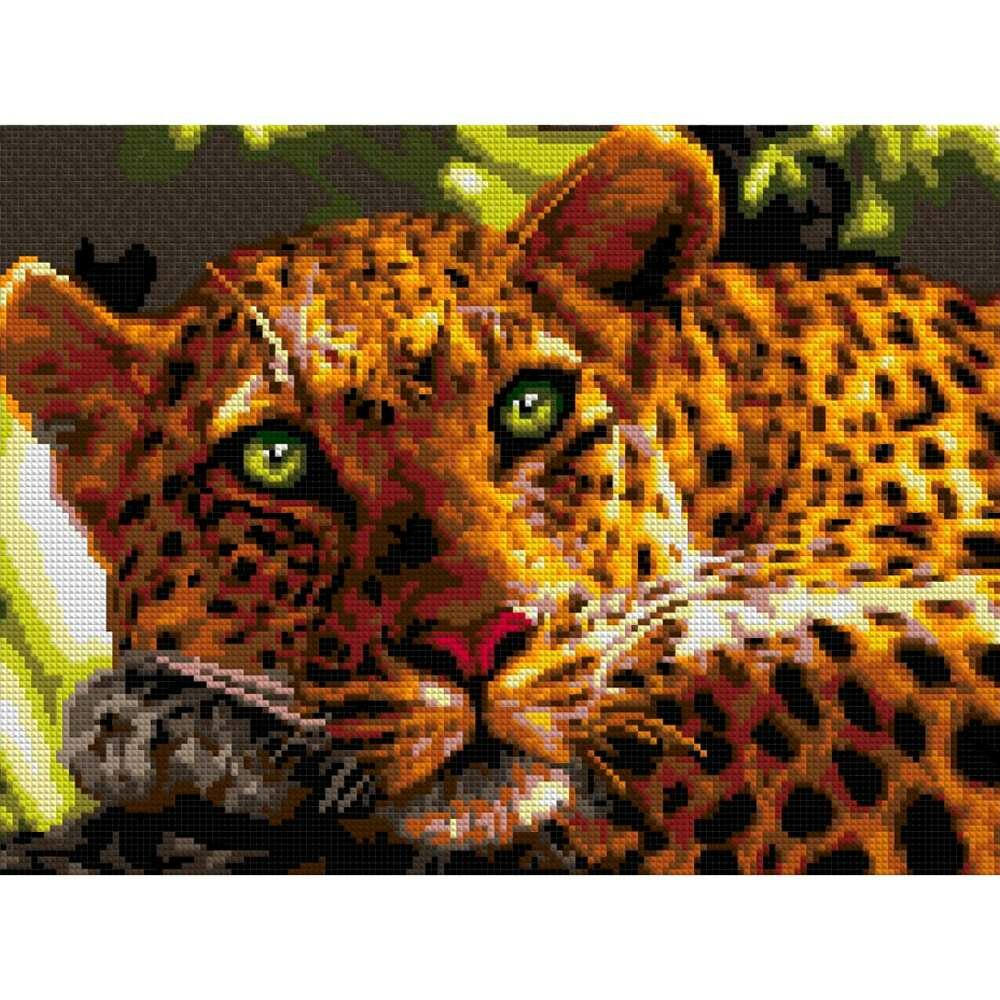 Алмазная мозаика лори 30х40 см, полное заполнение "Леопард"