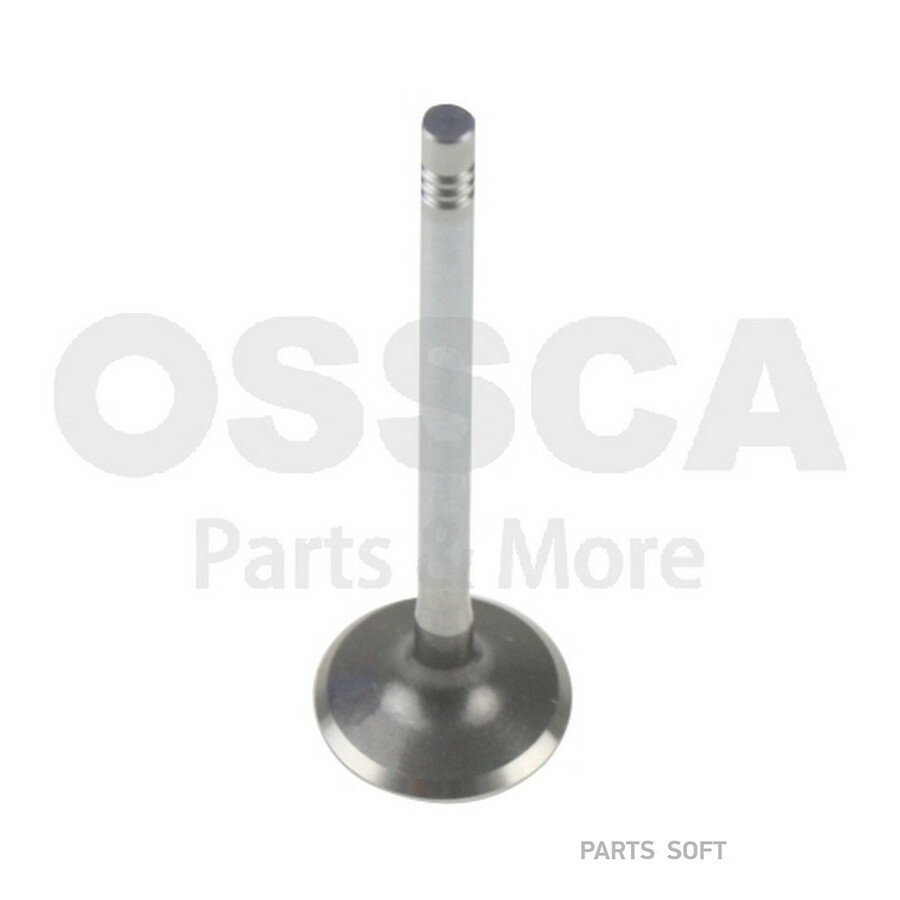 OSSCA 25532 Клапан головки блока выпускной / OPEL Astra-G, Vectra-B/C, Zafira-A 2.2SE, YH 96~