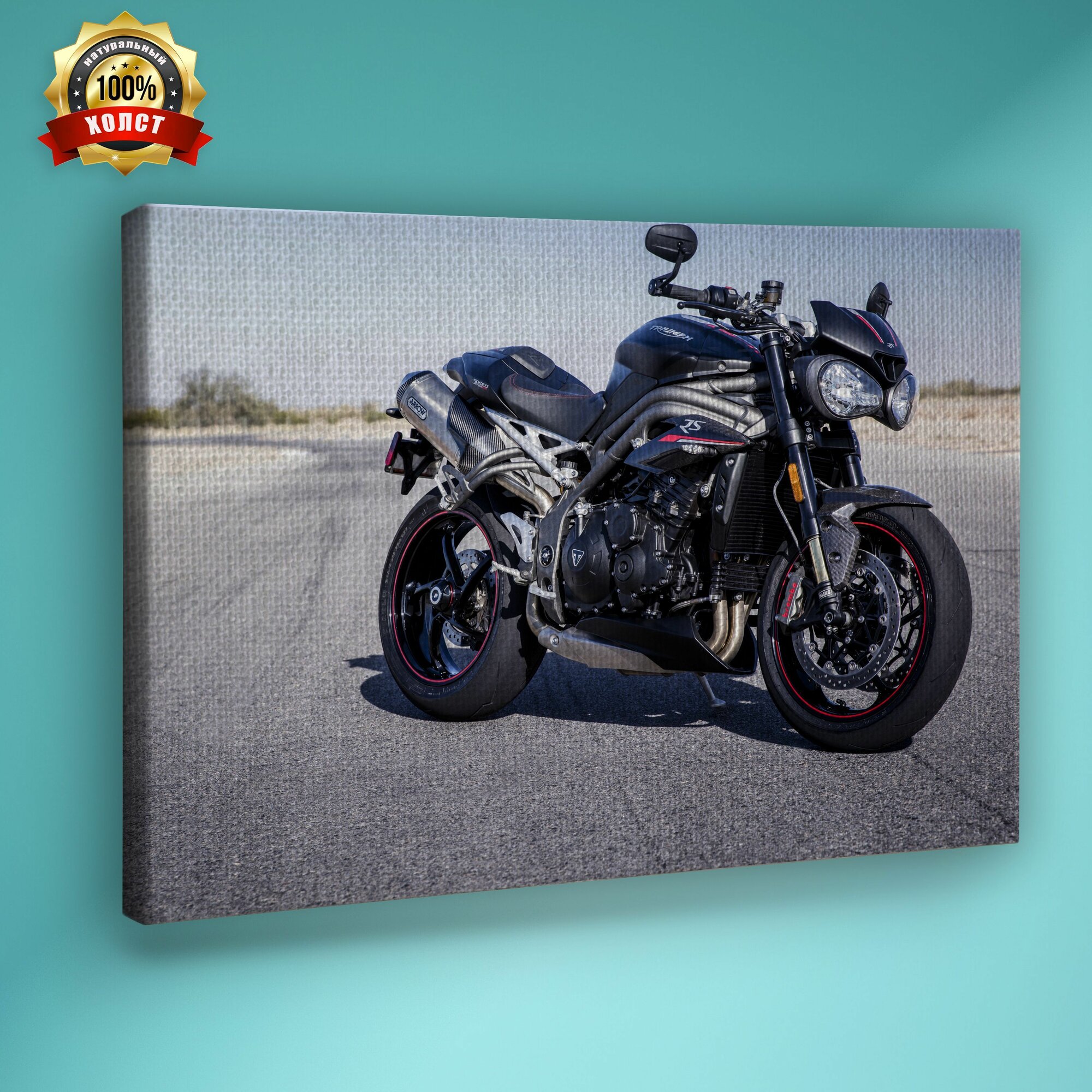 Картина "Мотоцикл" 40*30