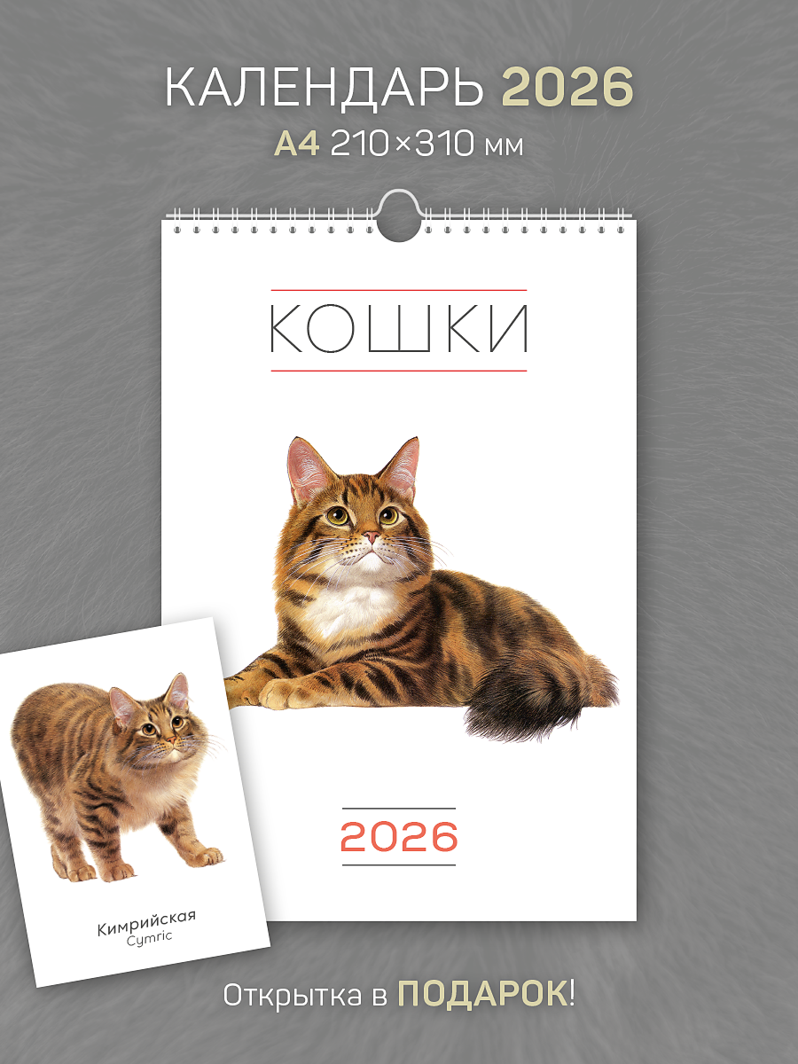 Календарь А4 "Кошки" на 2026 год, настенный, перекидной на пружине с ригелем