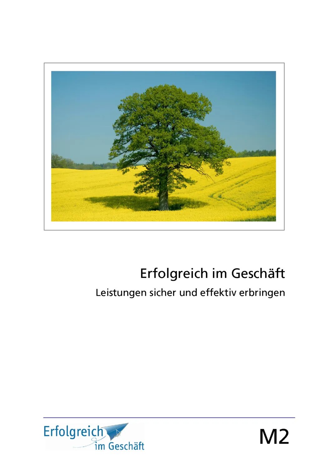 Modul 2: Leistungen sicher und effektiv erbringen [Цифровая книга]