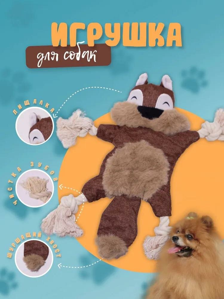 Мягкая игрушка в виде собаки с дизайном белки и лисы, содержит звуковую бумагу, звук писка BB, игрушка для жевания