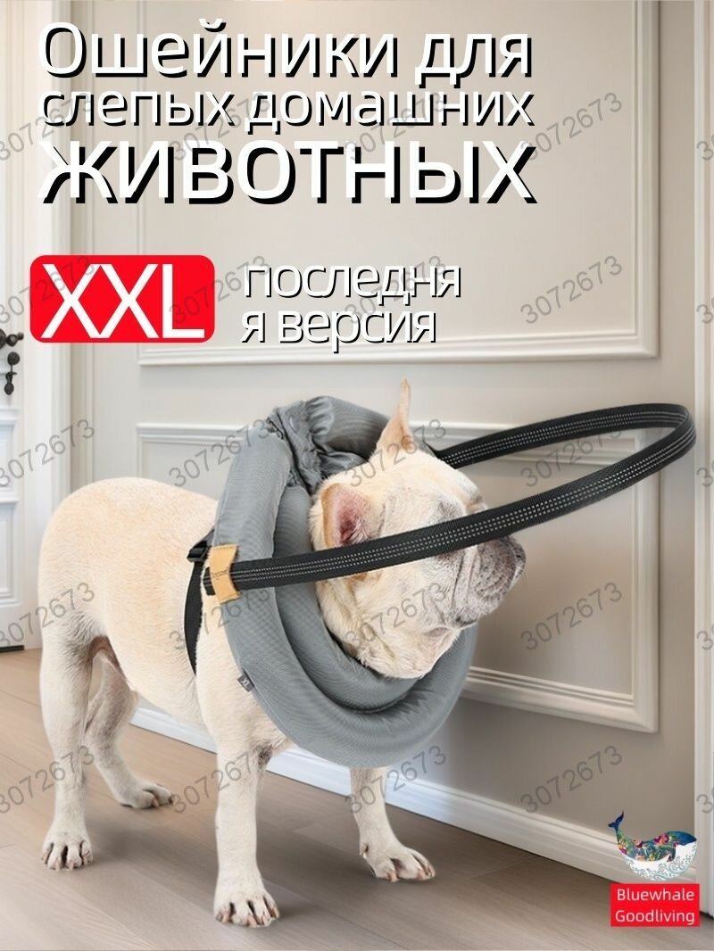 Ошейник для слепых питомцев. Ошейник для защиты от столкновений для частично зрячих собак и кошек. Принадлежности для слепых домашних животных. Защитное снаряжение для домашних животных. Код XXL.