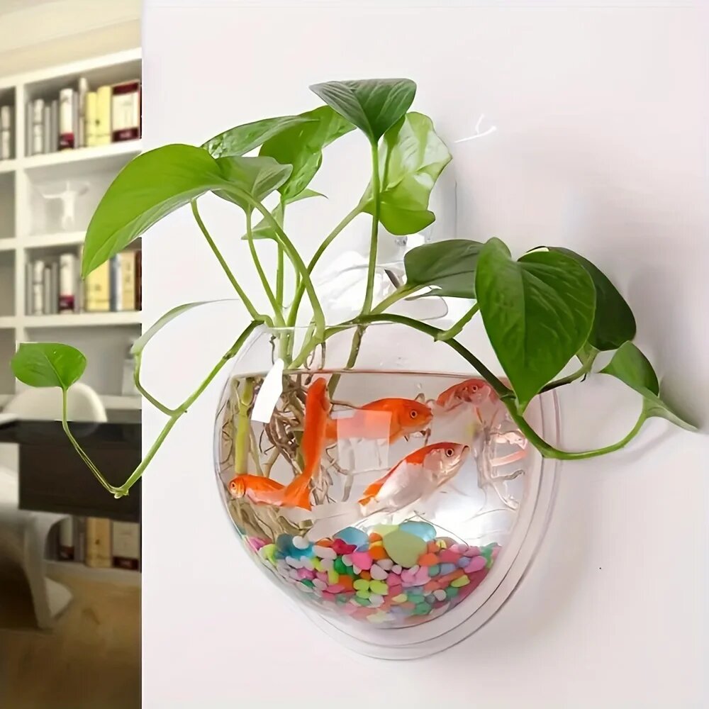 Аквариум для Betta из акрила